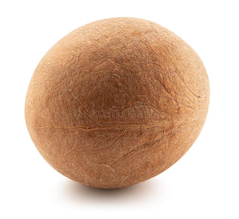Coconut without Shell Isolated on a White Background Stock Photo ...