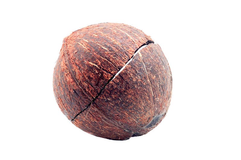 Coconut shell stock image. Image of hard, healthy, fibrous - 33973667