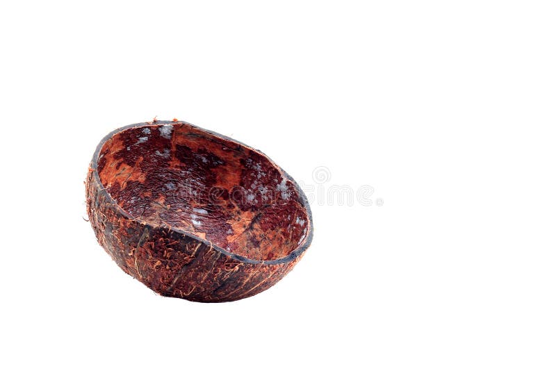 Coconut shell stock photo. Image of cocoa, closeup, fruit - 33973436