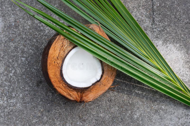 Coconut, Coconut Shell, Coconut Leaf, Front Corner Stock Image - Image ...