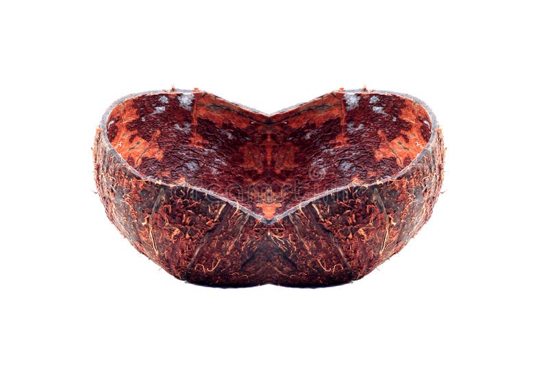 Coconut Shell with Love Shape Stock Photo - Image of coco, natural ...