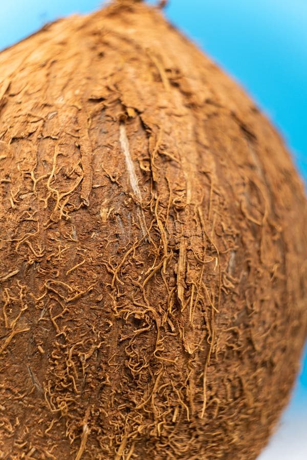 Macro Brown Eye of a 5-year-old Kid. Pediatric Ophthalmology Stock ...