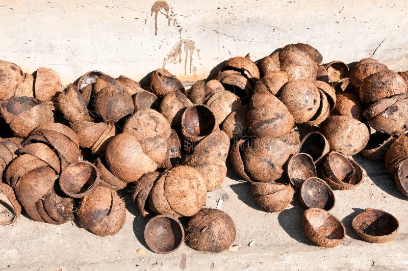 Coconut shell stock photo. Image of shell, nutrition - 34487292