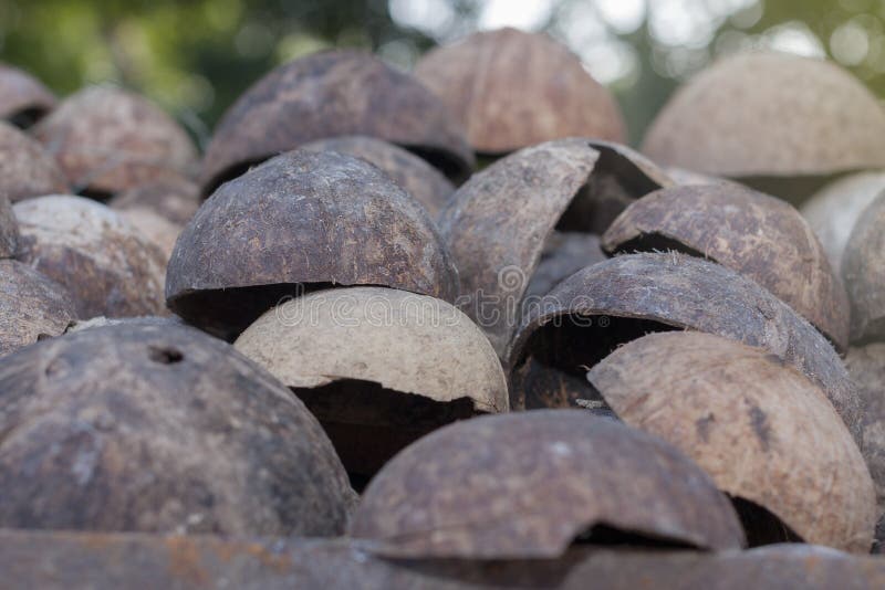 Coconut Shell for Nature Fuel Stock Photo - Image of waste, ingredient ...