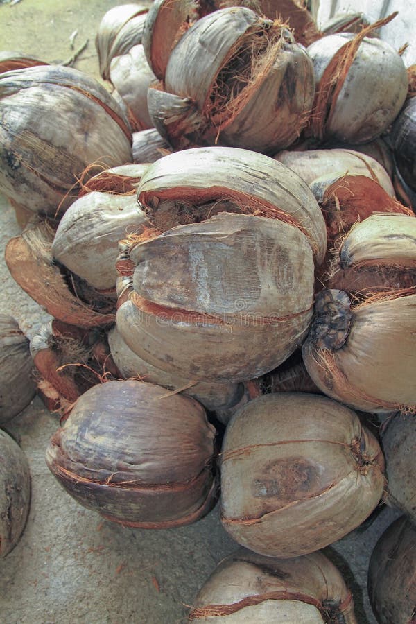 Coconut Shell for Nature Fuel Stock Photo - Image of natural, healthy ...