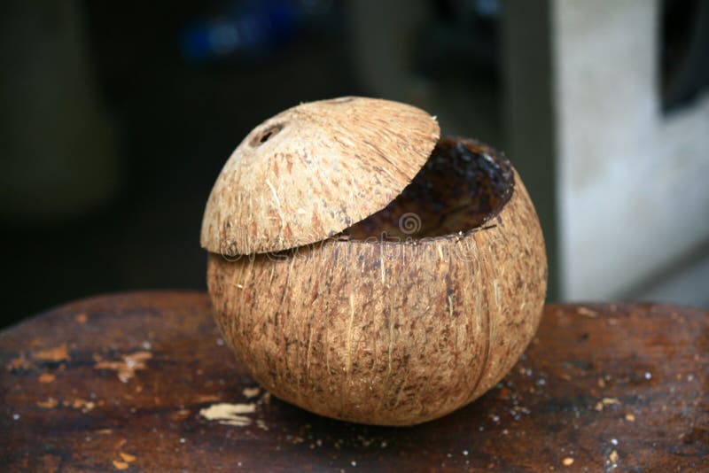 Coconut Shell Open Head Cap Stock Image - Image of coconut, open: 74725339