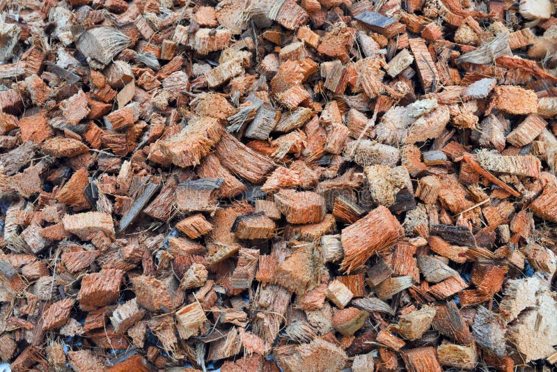 Coconut Shell, Part of Dried Coconut. Stock Image - Image of farmers ...