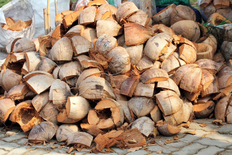 Coconut shell stock image. Image of tropical, fibrous - 58755801