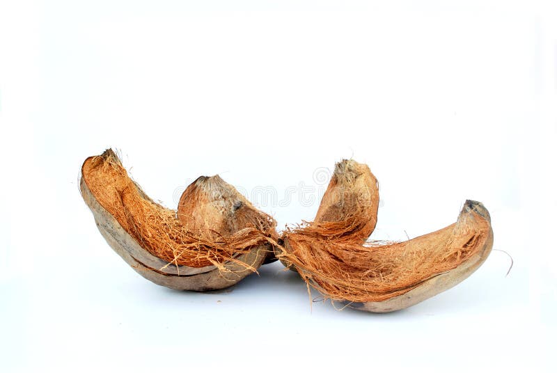 Coconut Peel White Background. Stock Image - Image of food, abstract ...