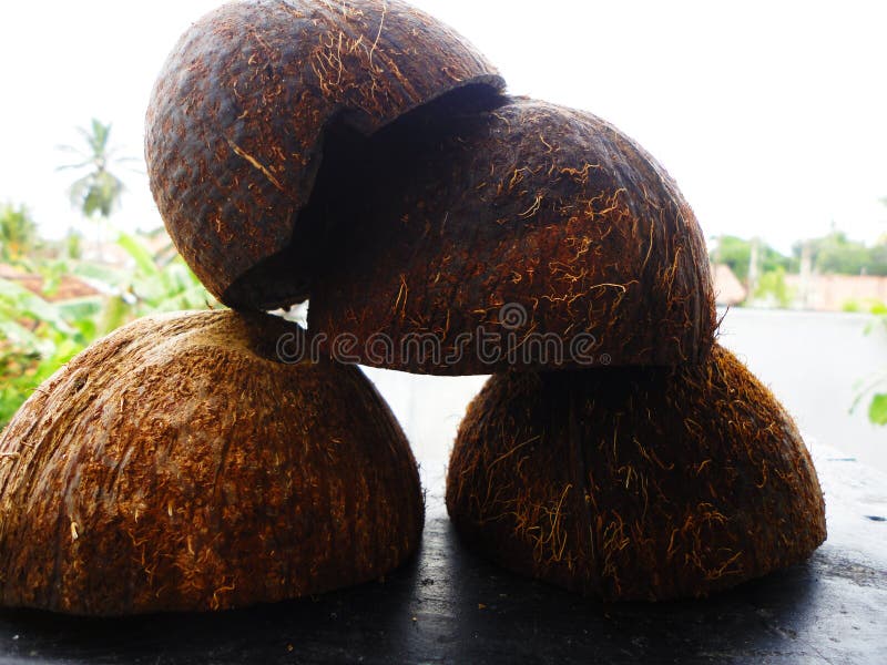 Coconut shell stock photo. Image of shell, shells, brown - 94276684