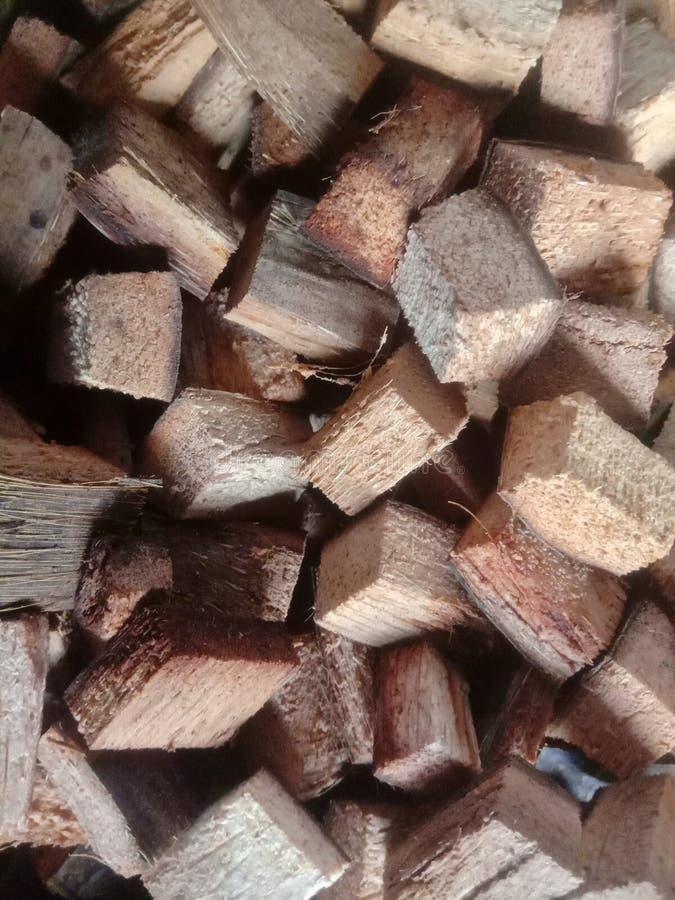 Coconut Shell Square Pieces for Planting Media Stock Photo - Image of ...