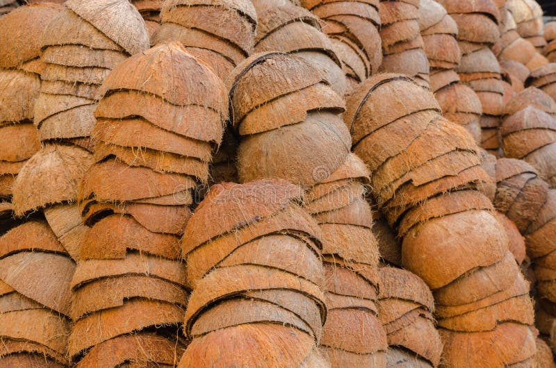 The coconut shell stock image. Image of dump, agriculture - 41519213