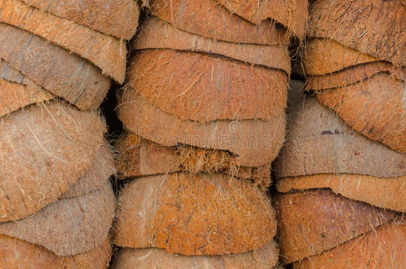 The coconut shell stock photo. Image of stow, fruit, overlap - 43122830