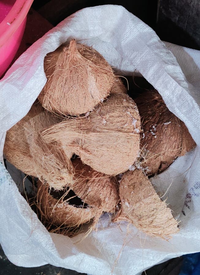 Coconut Shell is the Strongest Part of the Coconut that Covered the ...