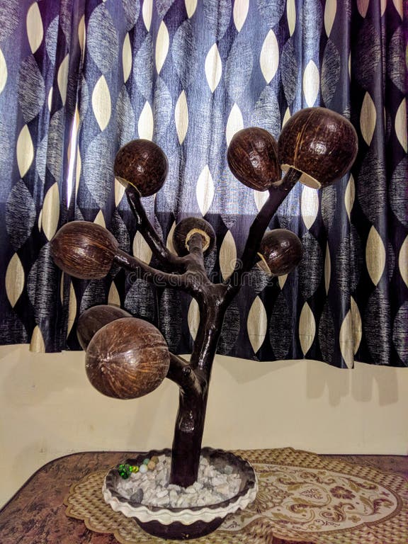 Coconut Shell Tree Uique Art Stock Photo - Image of natural, tree ...