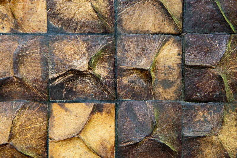 Coconut Shell Wall Close Up Stock Photo - Image of artwork, collate ...