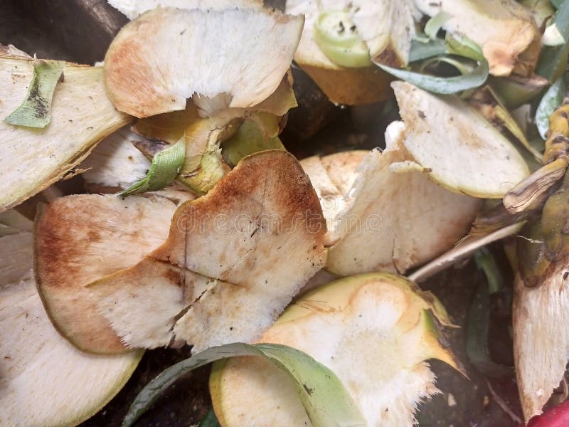 Coconut Shell Waste stock image. Image of organic, coconut - 274846019