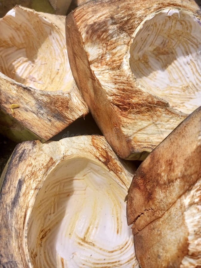 Coconut Shell Waste stock photo. Image of market, fruits - 274846032