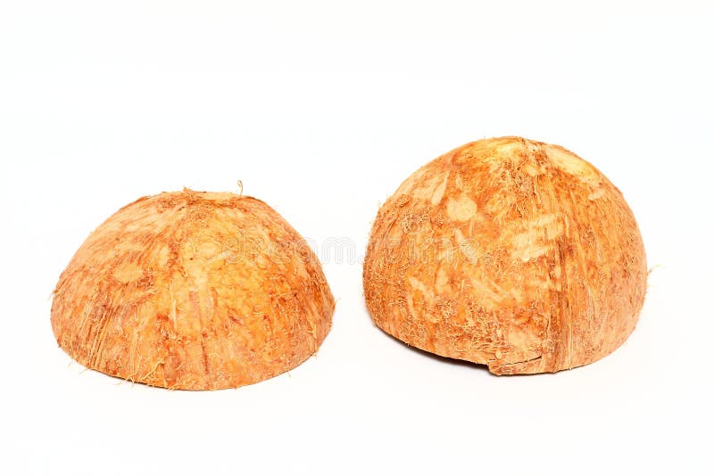 Coconut Shell on White Background Stock Photo - Image of palm ...