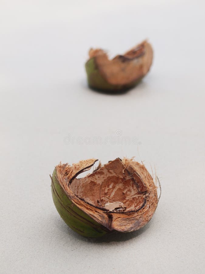 Coconut shells stock photo. Image of shell, fruit, brown - 20614414