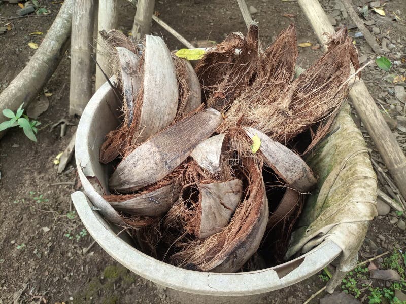 Coconut Shells or Coconut Fibers in a Bucket Stock Image - Image of ...