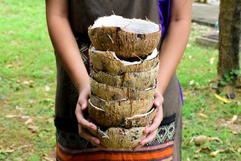 Coconut shells in hands stock image. Image of bowl, brown - 195395297