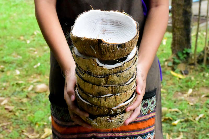 Coconut shells in hands stock photo. Image of ingredient - 195395302