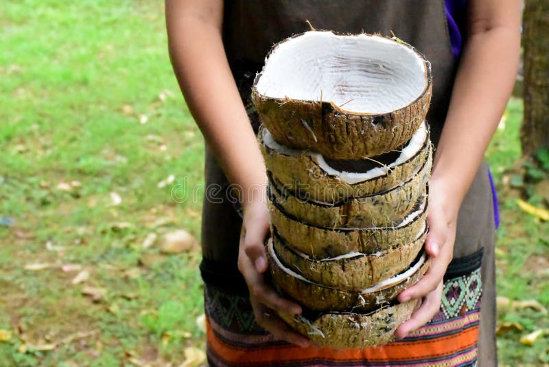 Coconut shells in hands stock photo. Image of empty - 195395306