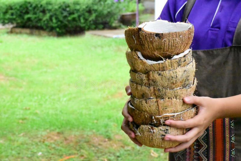 Coconut shells in hands stock image. Image of coconuts - 195395325