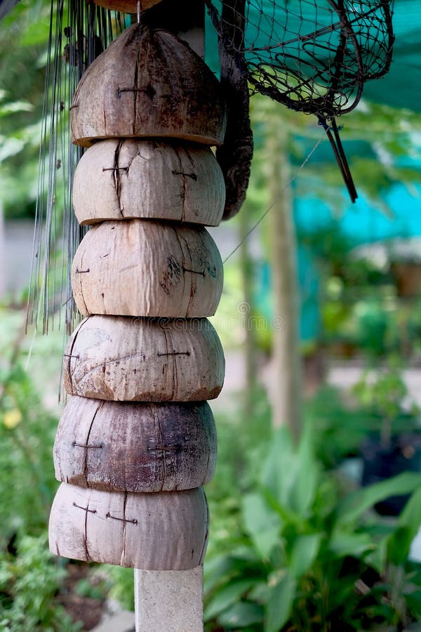 Coconut shells stock photo. Image of pillar, shells, space - 60626818