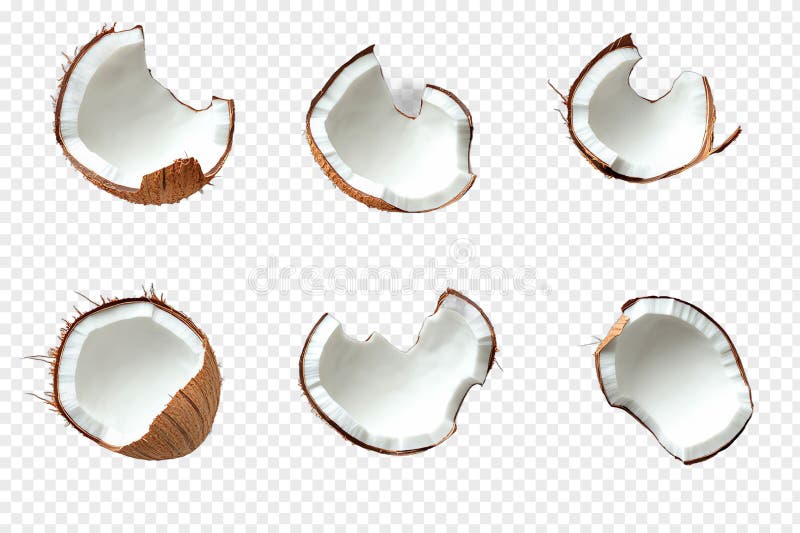 Coconut shells stock image. Illustration of white, delicious - 341489517