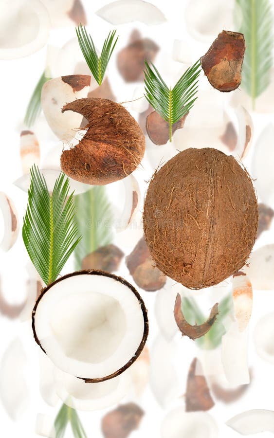 Coconut Slice and Leaf Abstract Stock Image - Image of exotic, seamless ...