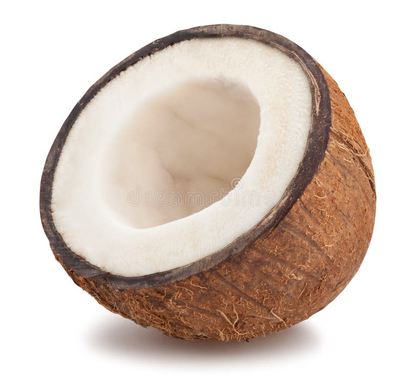 Single coconut stock image. Image of brown, white, food - 22432745