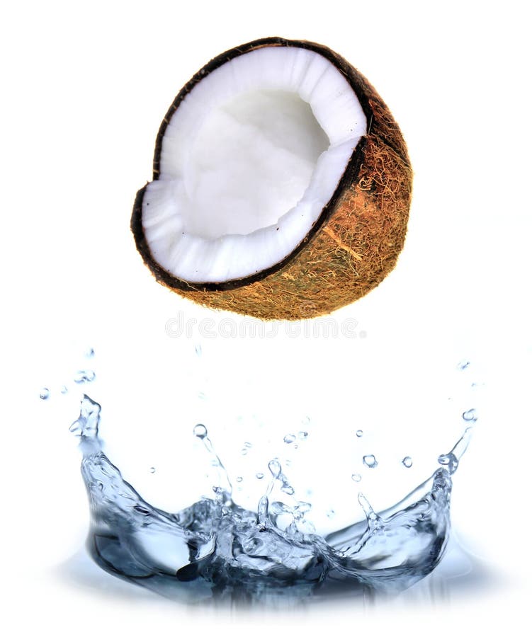 Coconut splash stock photo. Image of juice, close, coconut - 16368720