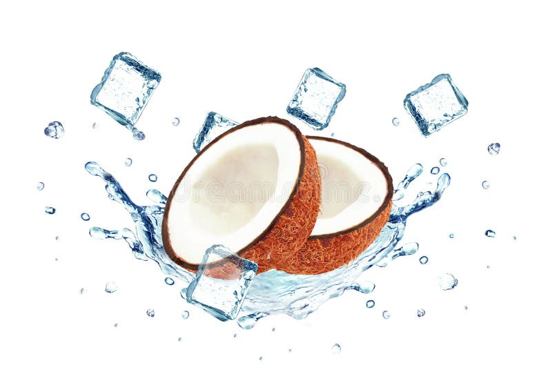 Coconut splash water stock photo. Image of fruit, drop - 113200160