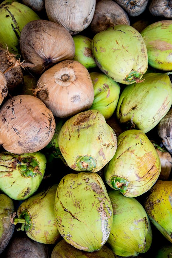 Coconut a stack of coconut stock photo. Image of milk - 45345792