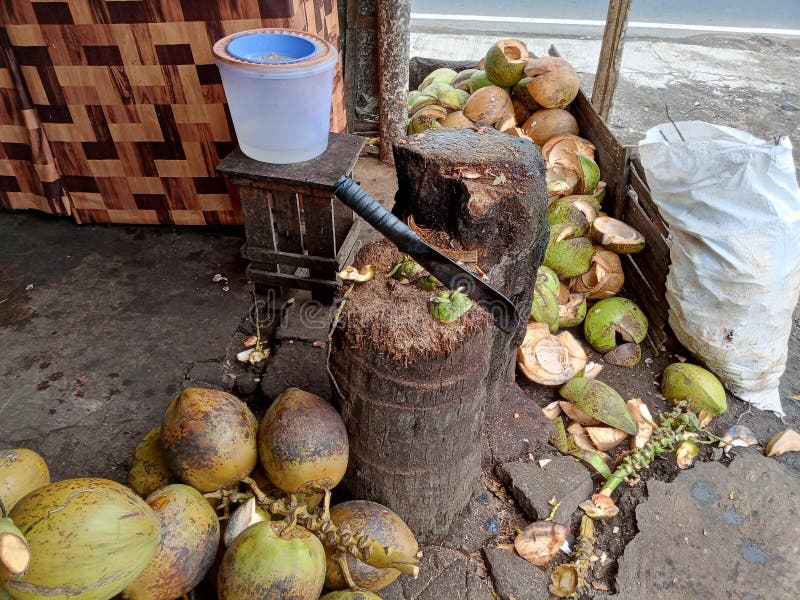 Coconut Stall with Chopped Coconuts and Machetes on Wooden Blocks ...