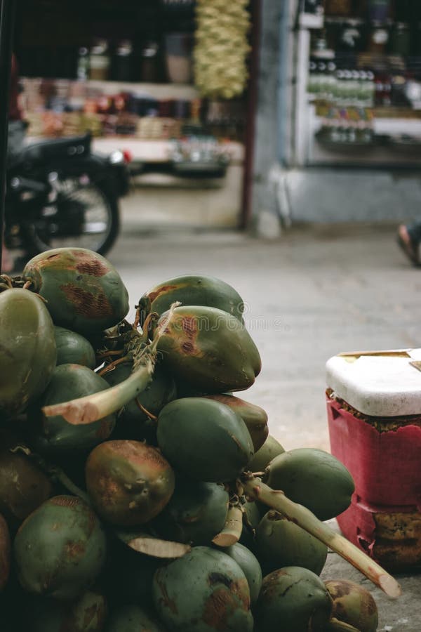 Coconut stock image. Image of india, coconut, street - 283585913