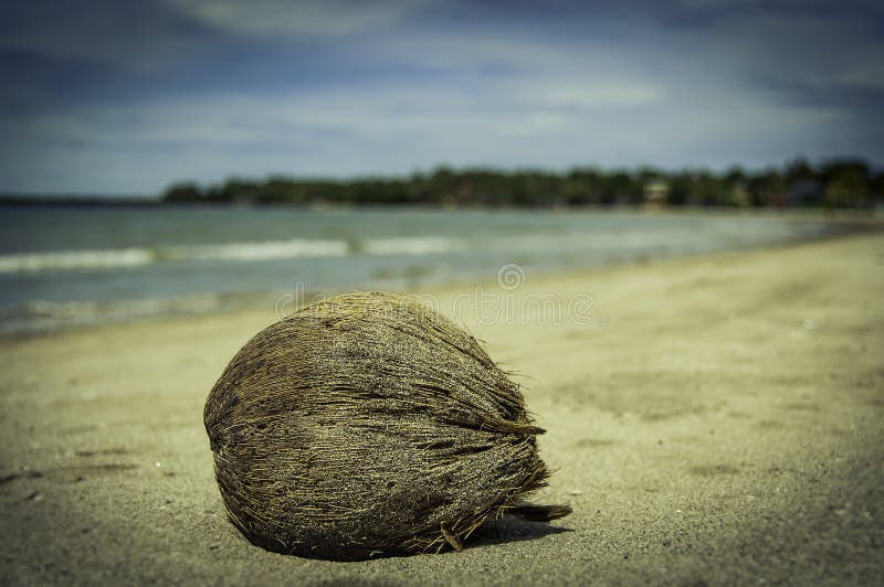 Coconut Story stock image. Image of friendly, philippines - 94160533