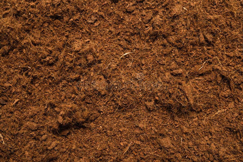 Coconut Substrate Background Stock Image - Image of closeup, compressed ...