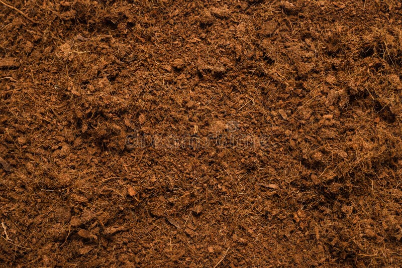 371 Coconut Substrate Stock Photos - Free & Royalty-Free Stock Photos ...