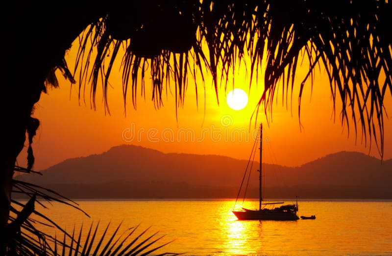 Coconut sunset stock photo. Image of bliss, afterglow - 1966372