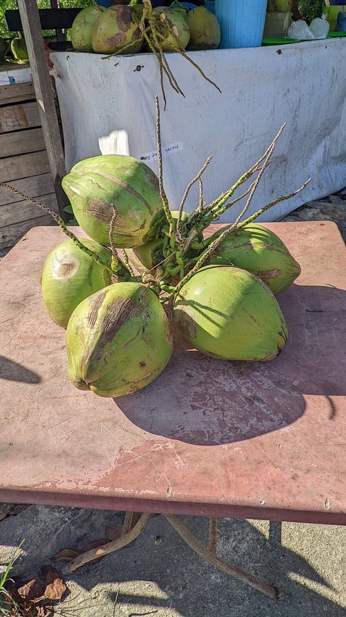 Coconut on a Table for Sale Stock Image - Image of thirsty, table ...