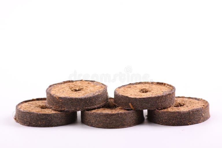 Coconut Tablets for Growing Stock Image - Image of closeup, tablets ...