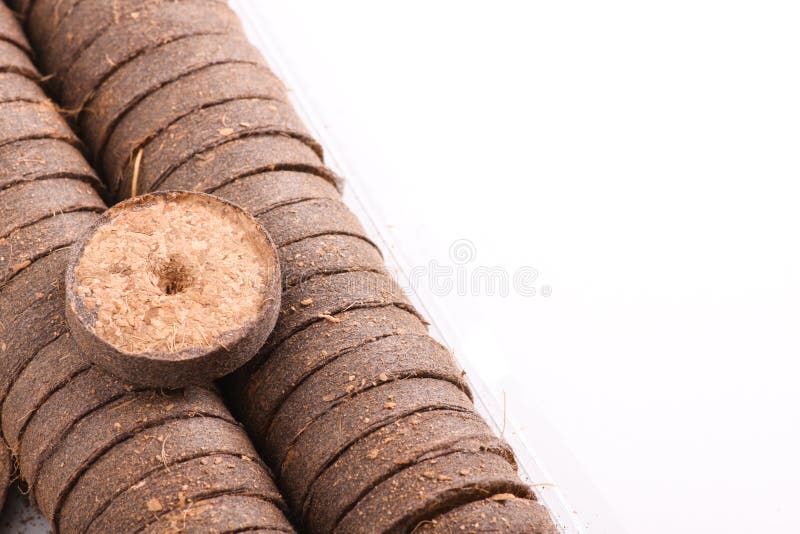 Coconut Tablets for Growing Stock Photo - Image of pile, gardening ...