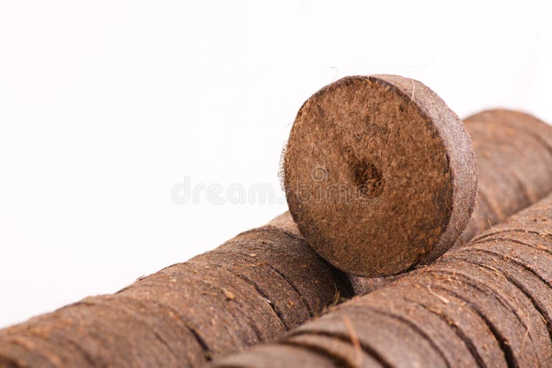 Coconut Tablets for Growing Stock Photo - Image of gardening, white ...