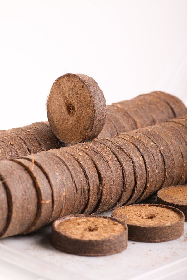 Coconut Tablets for Growing Stock Image - Image of container, pile ...