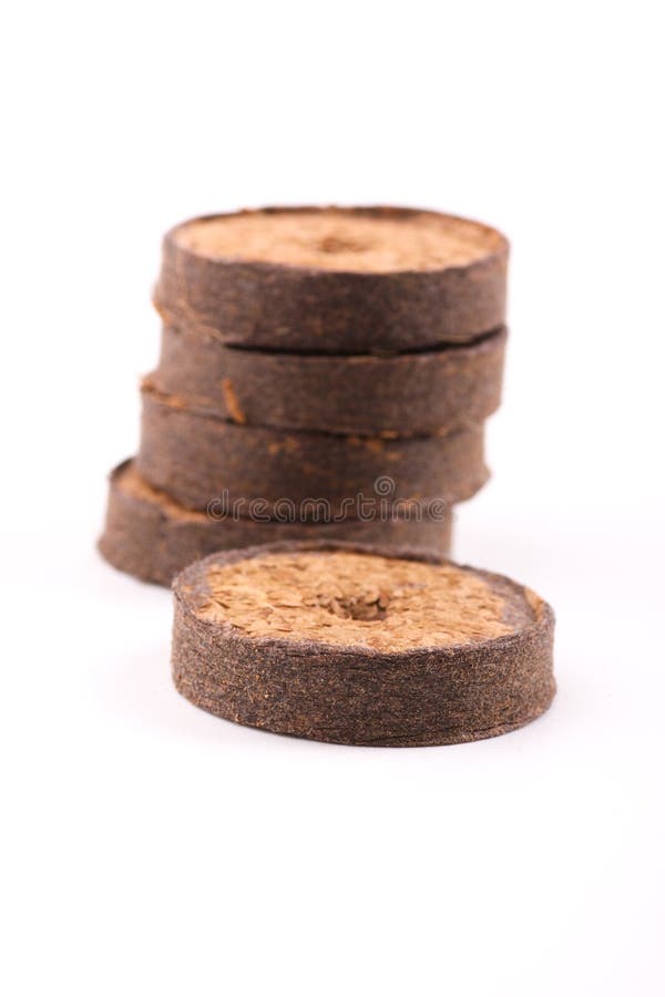 Coconut Tablets for Growing Stock Image - Image of tablets, seedling ...