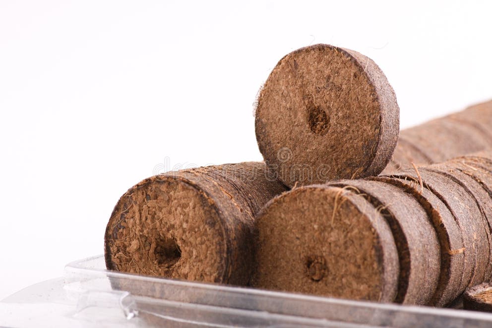 Coconut Tablets for Growing Stock Image - Image of tablet, isolated ...