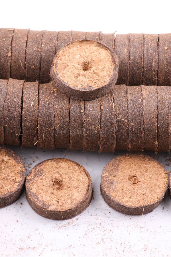 Coconut Tablets for Growing Stock Photo - Image of small, blocks: 54709682